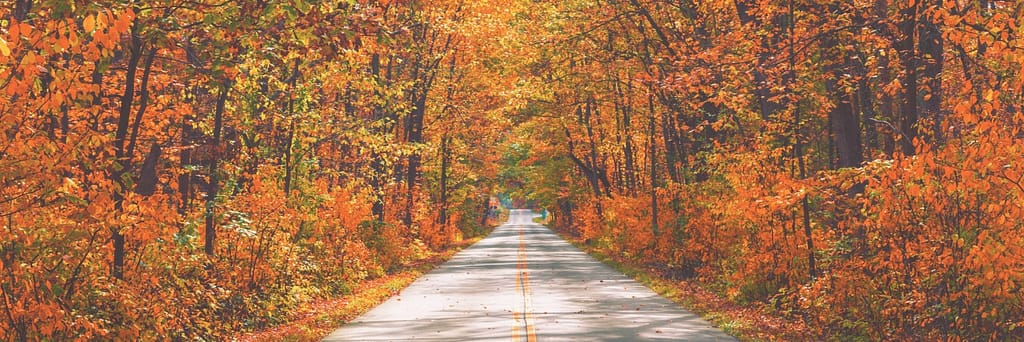 Community Interest Checking Account - Community State Bank