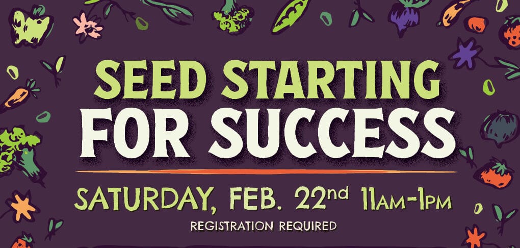 Seed Starting for Success - GoggleWorks