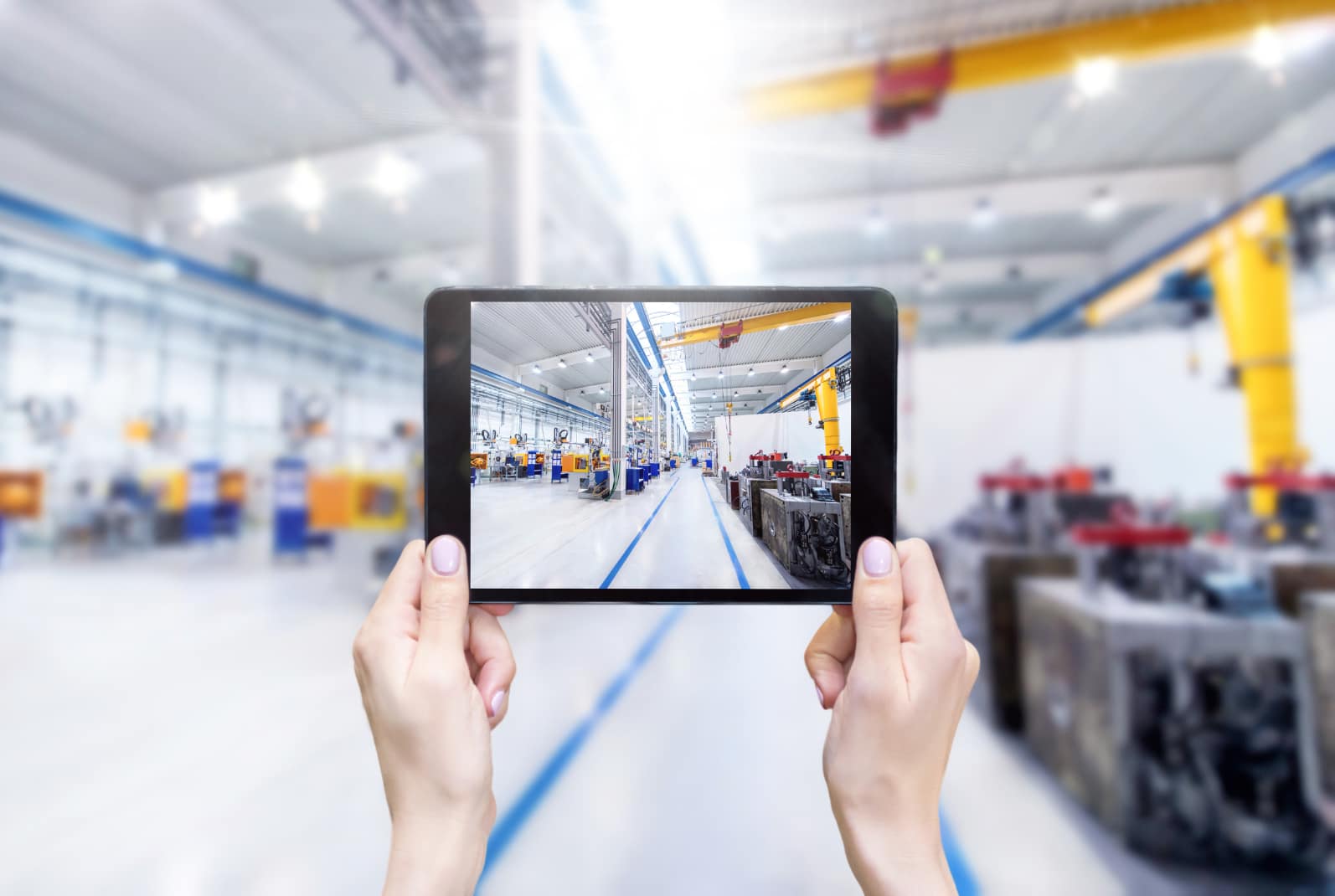 Benefits of Ariba Catalog Management - CCP Global