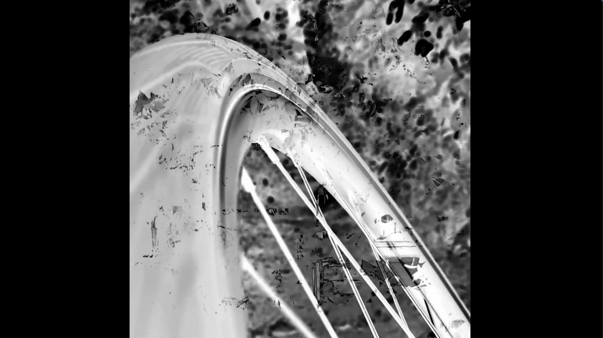 When Light Enveloped Form and Space, When Light Drew Intimacy, Juliana ...